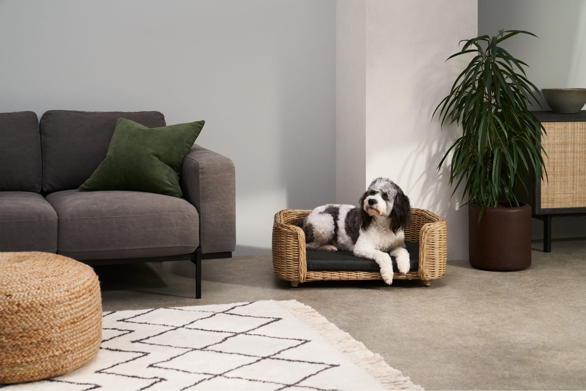 ROUND-UP: 30+ Rattan and Wicker Dog Beds and Baskets You'll Love - Hey ...