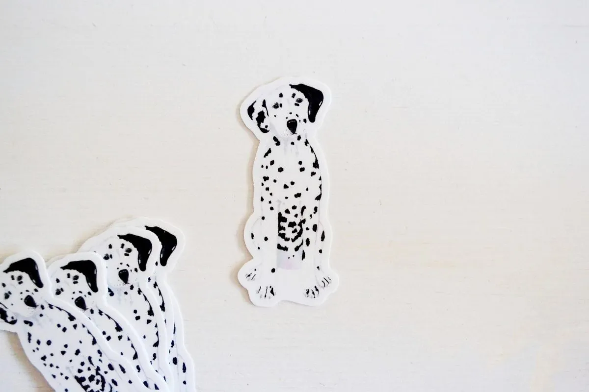 GIFT GUIDE: 25+ Gorgeous Dalmatian Gifts for Her - Hey, Djangles.